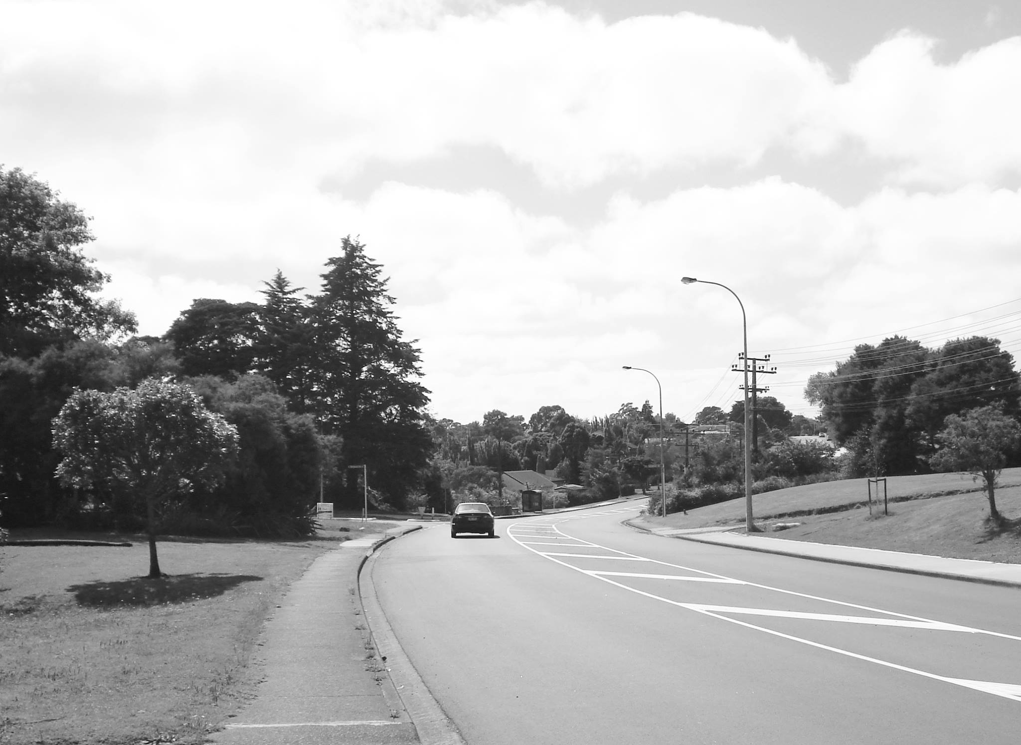 Window on Swanson Road – Celebrating Swanson